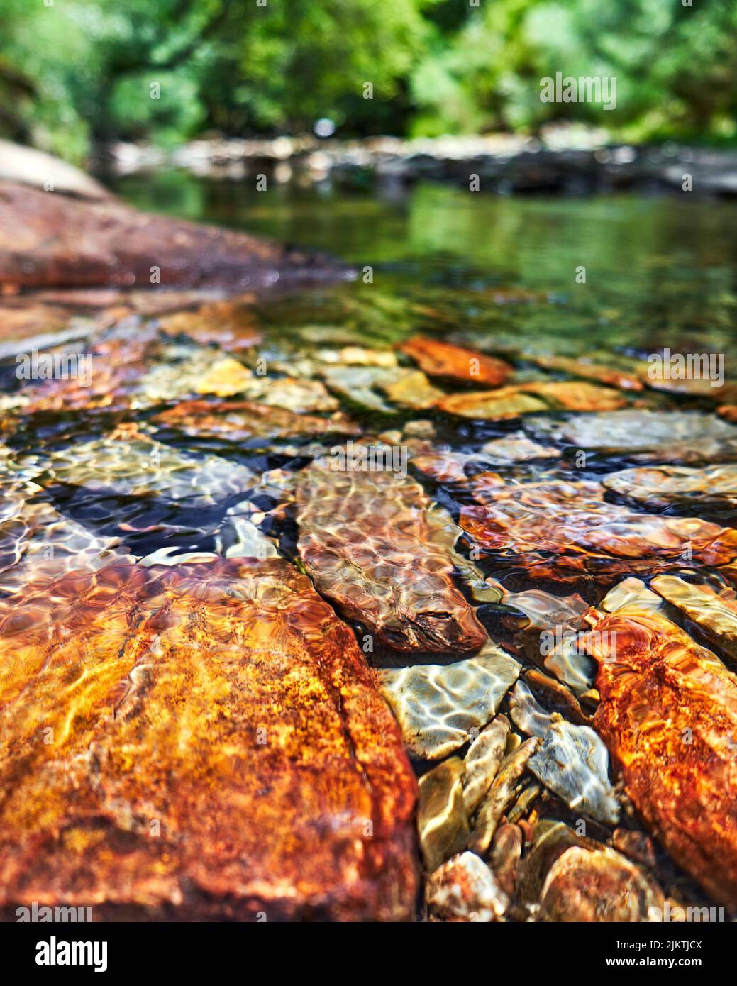A closeup shot of beautiful colored underwater rocks in the clear river ...