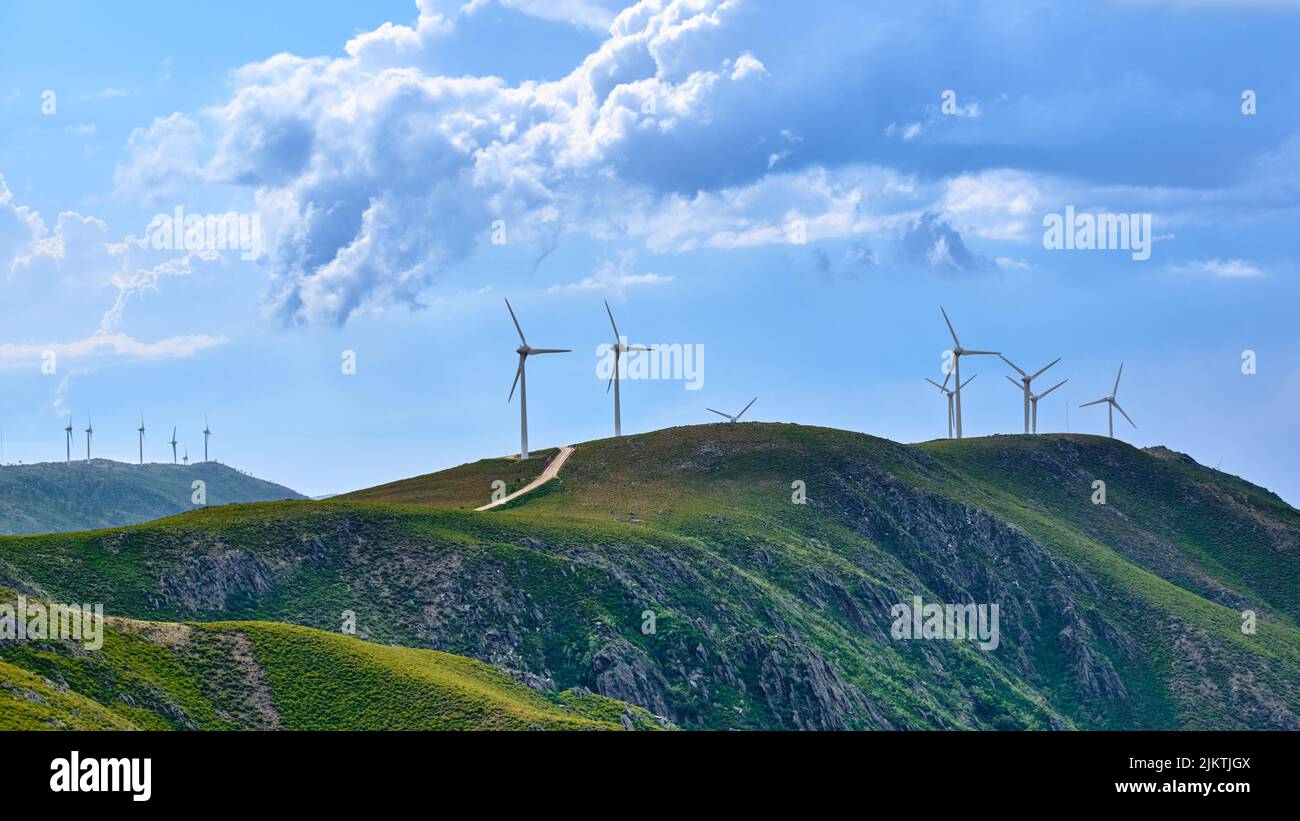 Wind turbine forest hills hi-res stock photography and images - Alamy