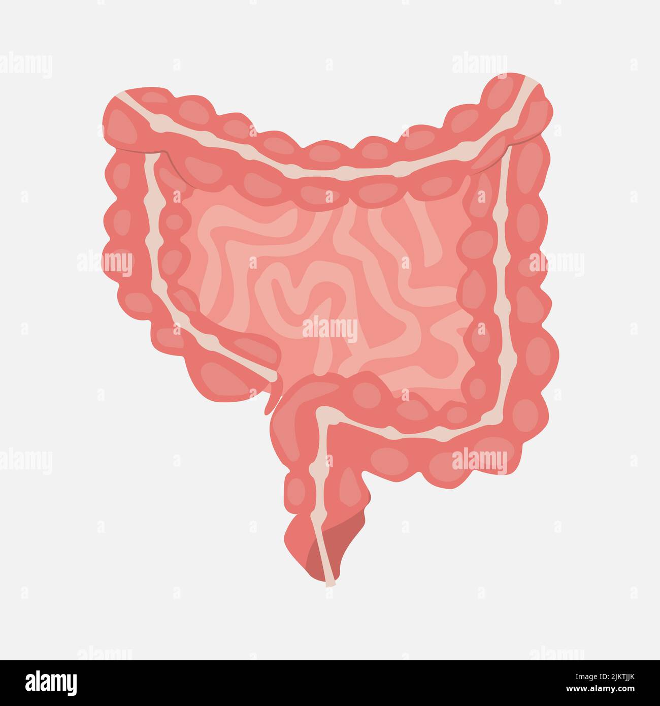A flat stomach Stock Vector Images - Alamy