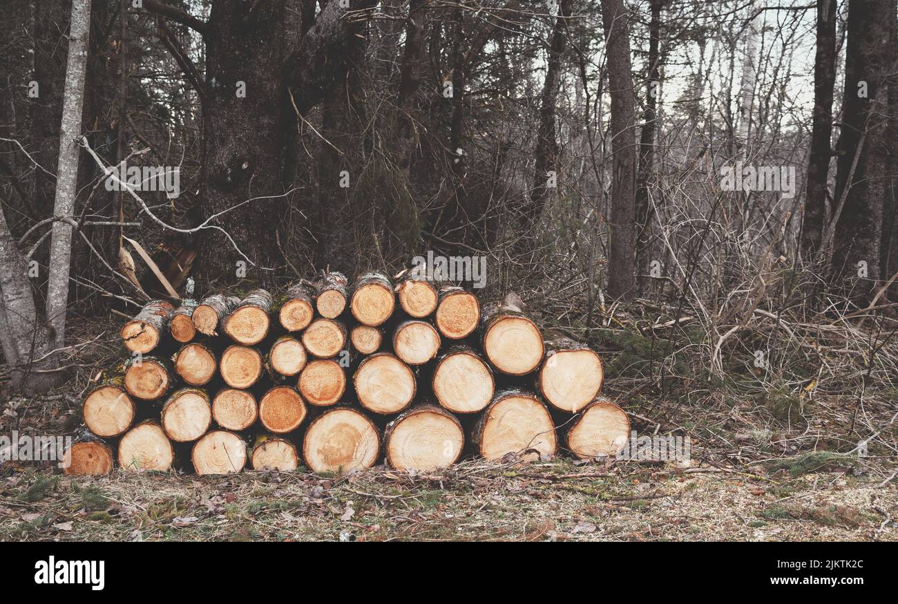 Stacked pile of firewood logs Stock Photo - Alamy