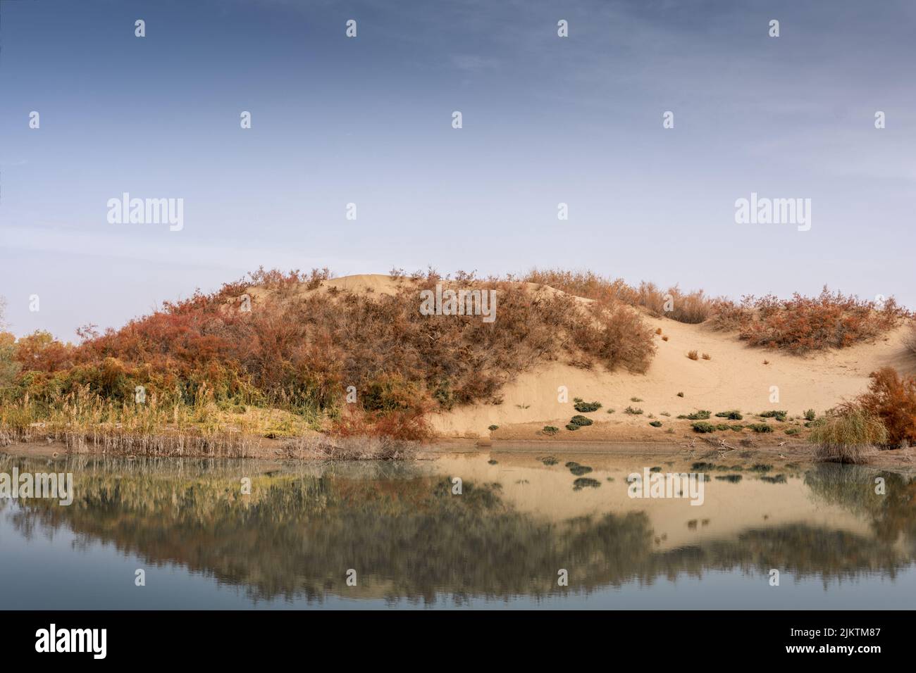 Dry vegetation hi-res stock photography and images - Alamy