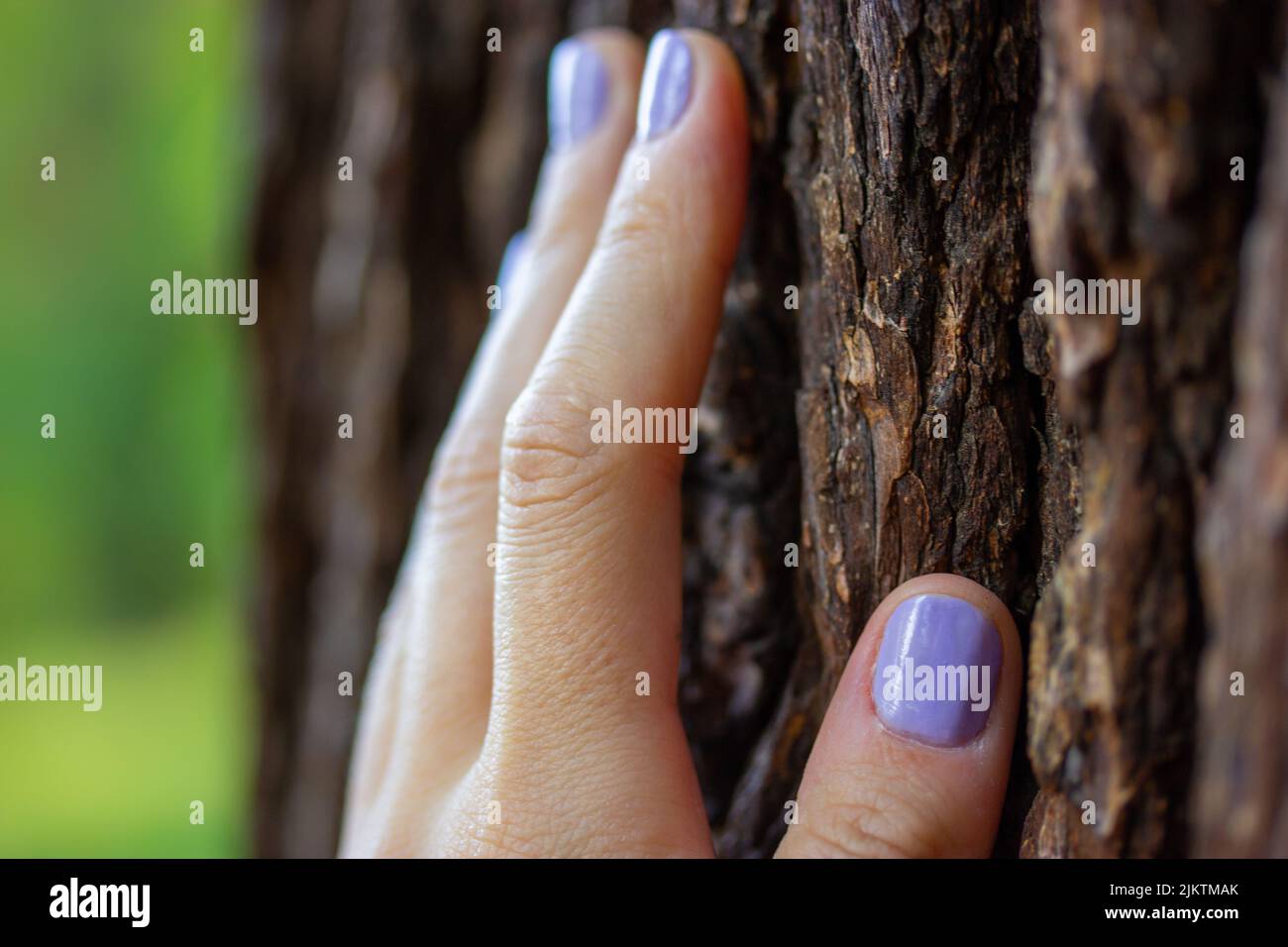 Girl touches bark tree tree hi-res stock photography and images - Alamy