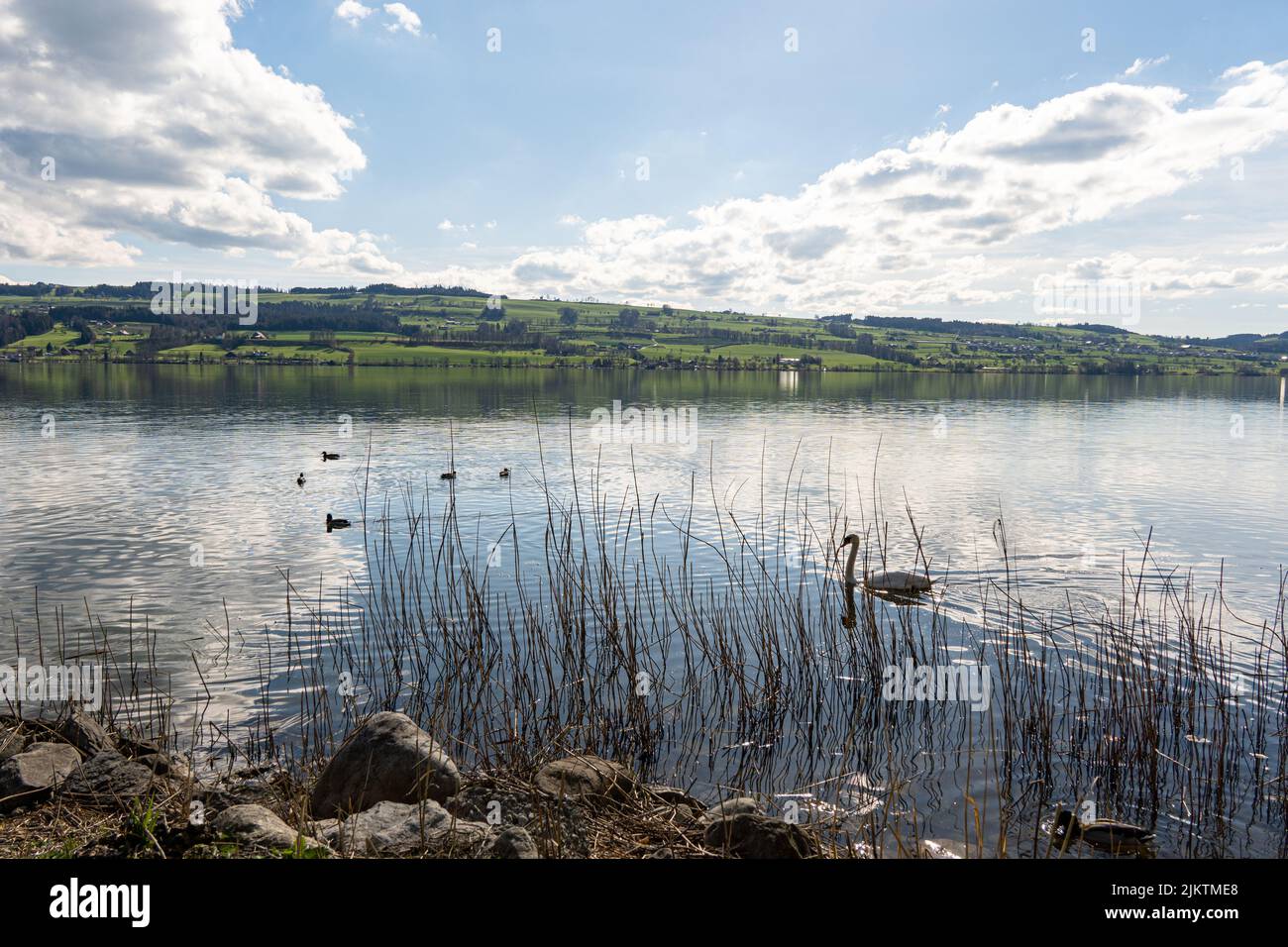 Lake sempachersee hi-res stock photography and images - Alamy