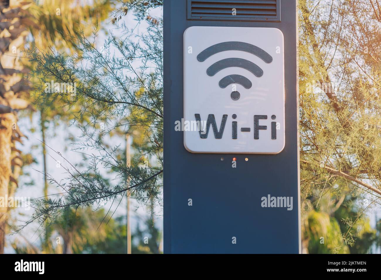 Wi-fi access point for wireless connection and digital communication in ...