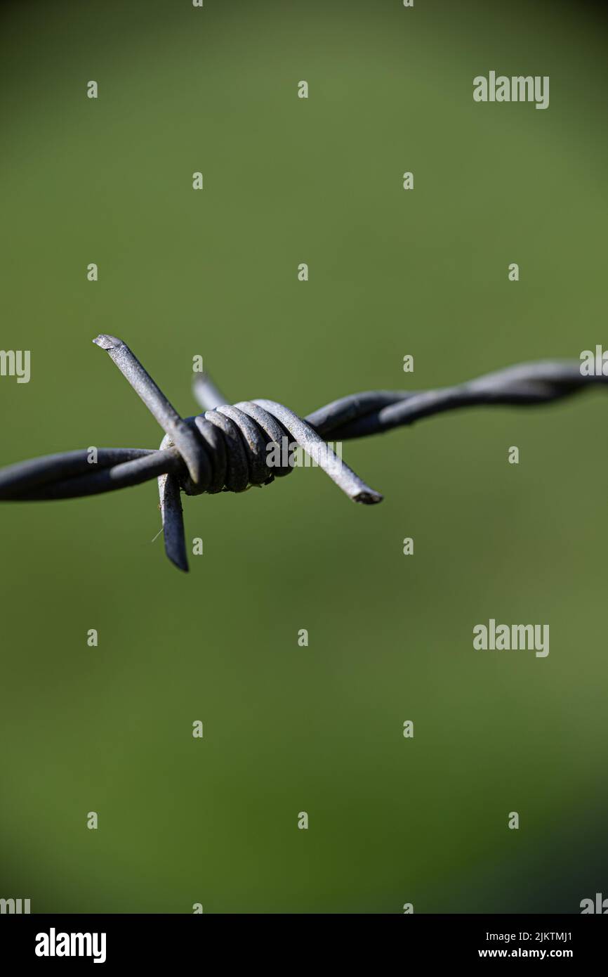 A vertical closeup of a barbed wire on a green background Stock Photo ...