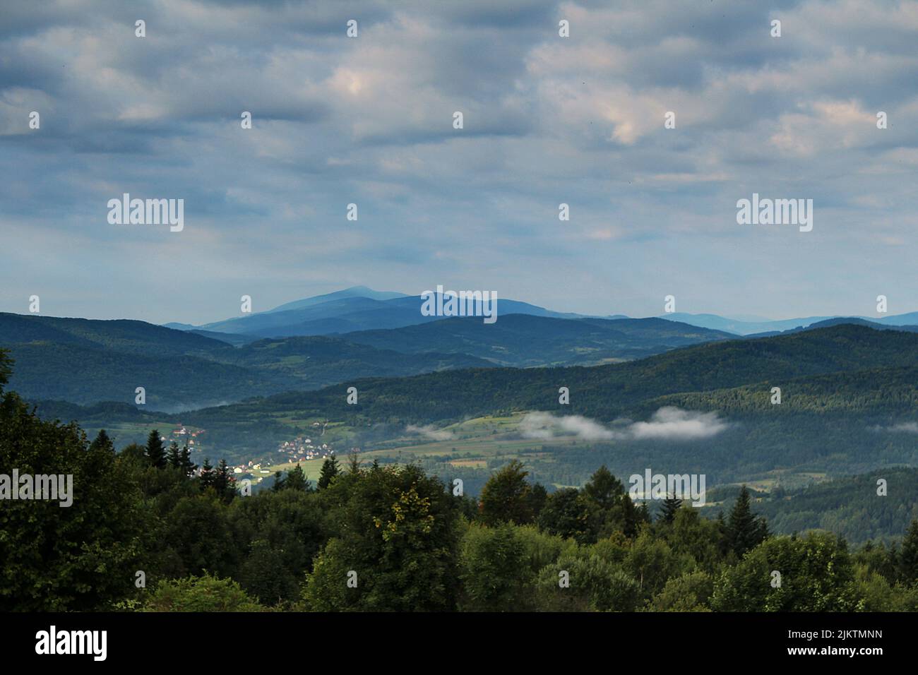 Dense formation hi-res stock photography and images - Alamy