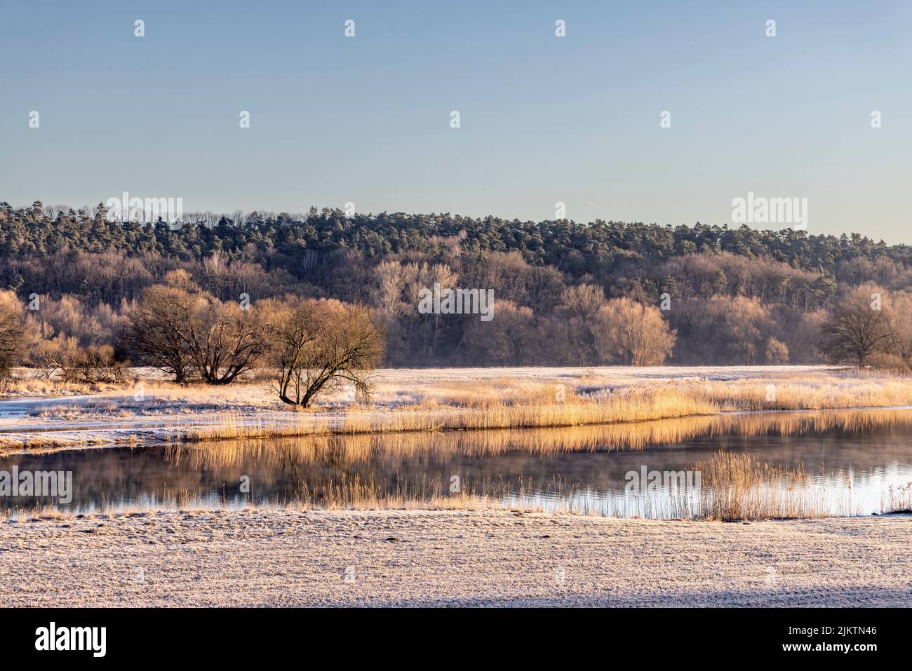 A natural landscape scenery of a field with a river, trees and grass ...