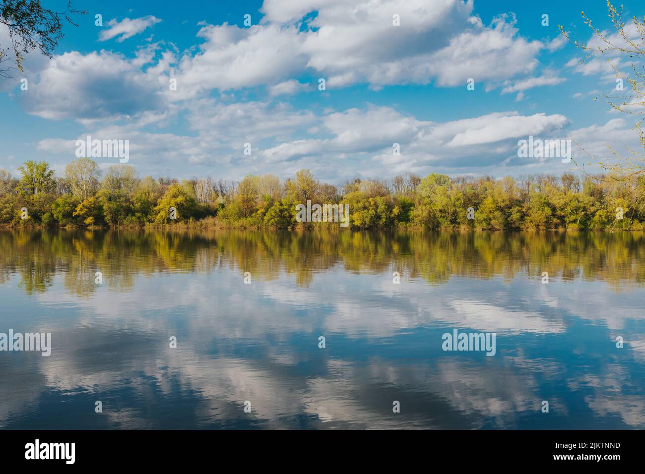 The Parvin Lake through South Jersey's pinelands Stock Photo - Alamy
