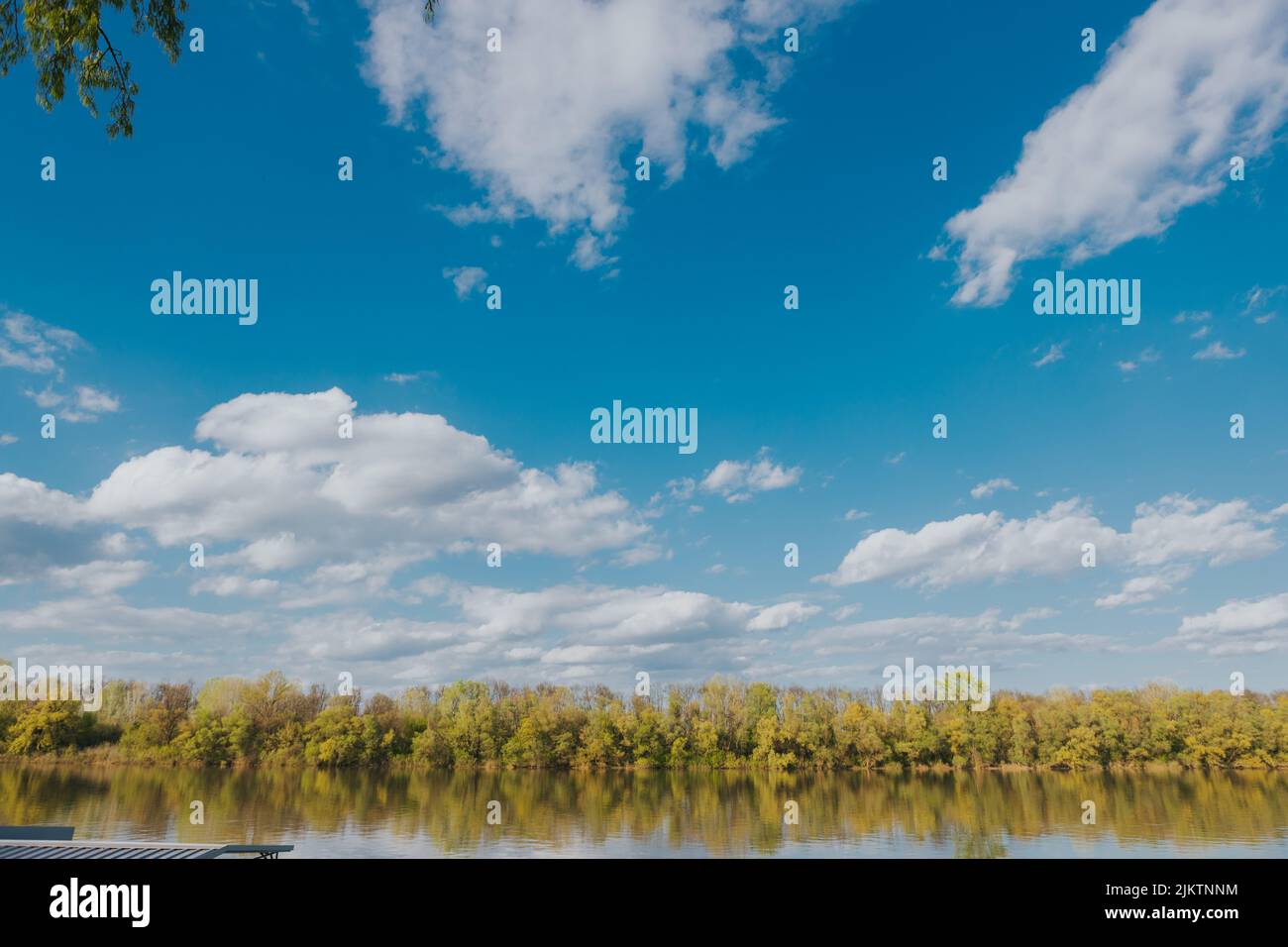 The Parvin Lake through South Jersey's pinelands Stock Photo - Alamy
