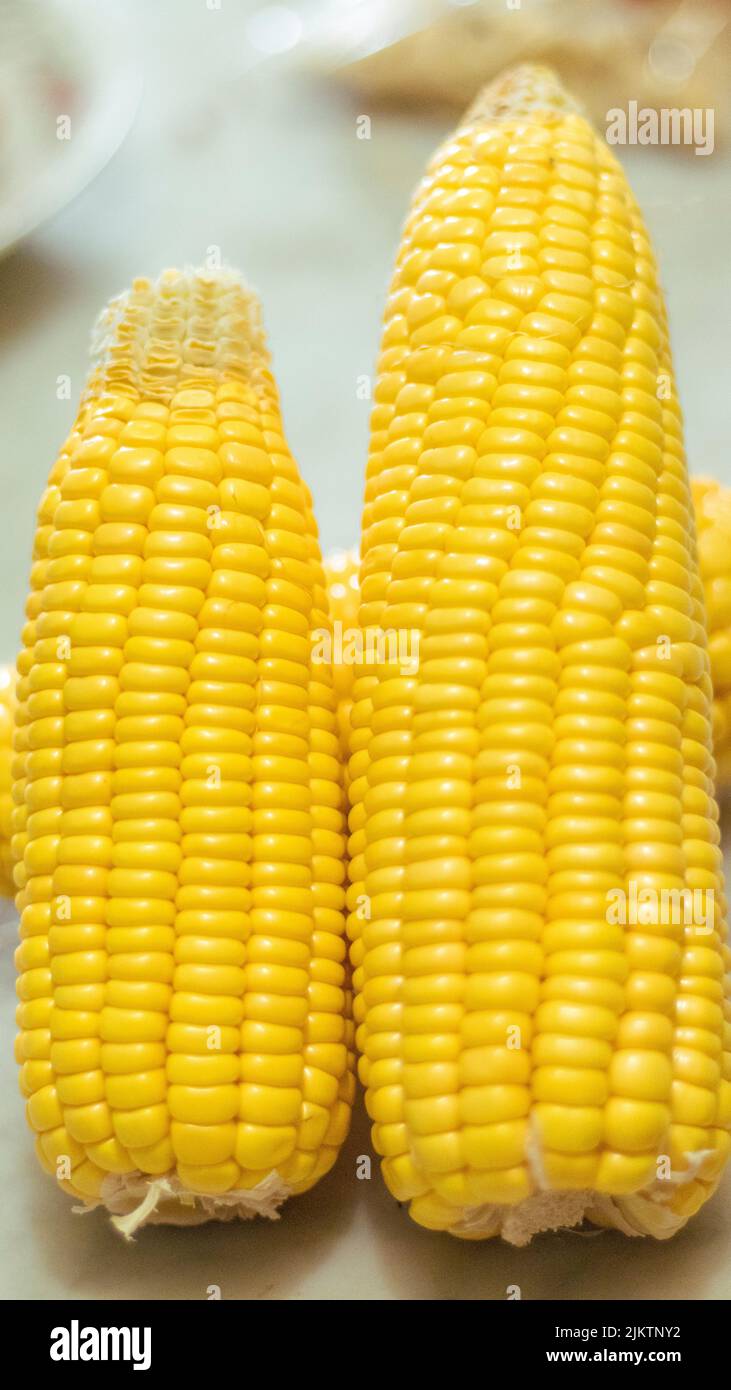 Vertical shot corn plant hi-res stock photography and images - Alamy