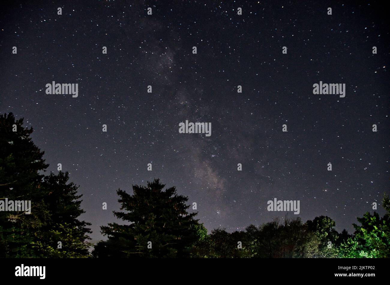 The wonderful night sky full of stars view from the forest Stock Photo ...