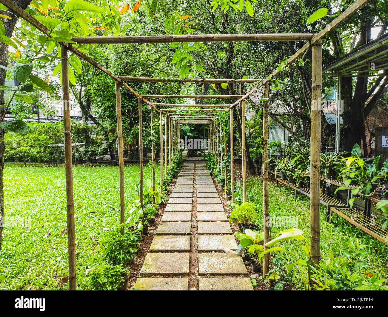 A green garden with a footpath, plants and trees Stock Photo - Alamy
