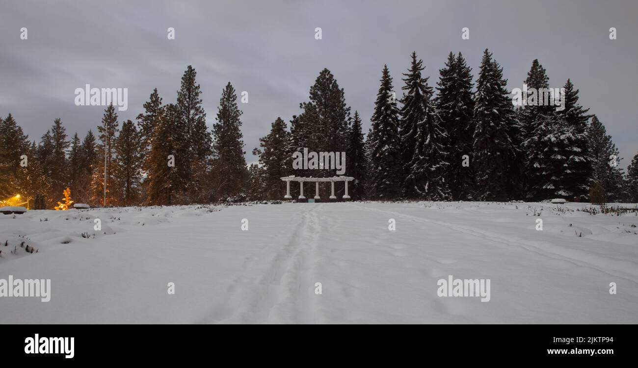 The view of the white pavilion with columns against the trees in winter ...
