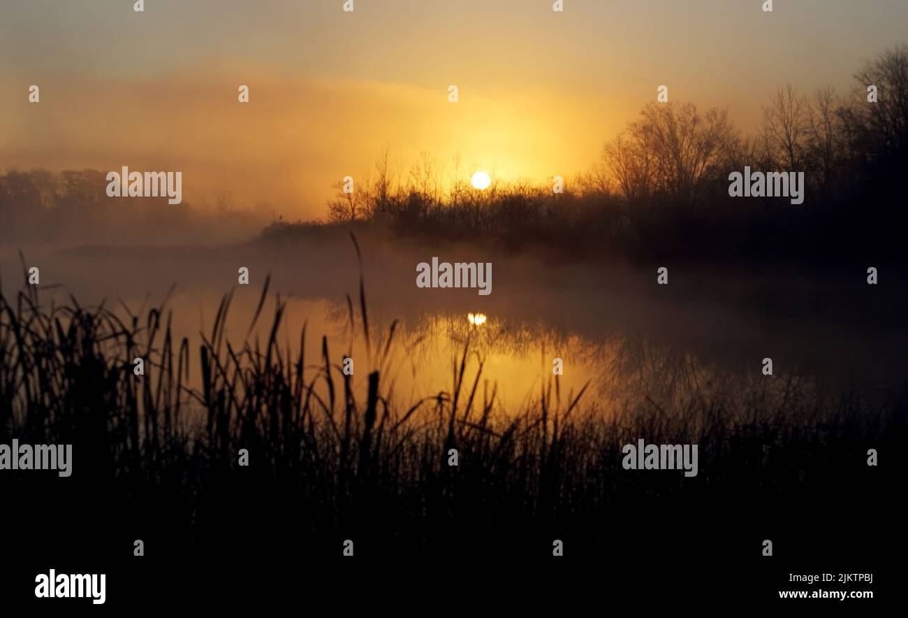 The beautiful sunrise above the marsh Stock Photo - Alamy