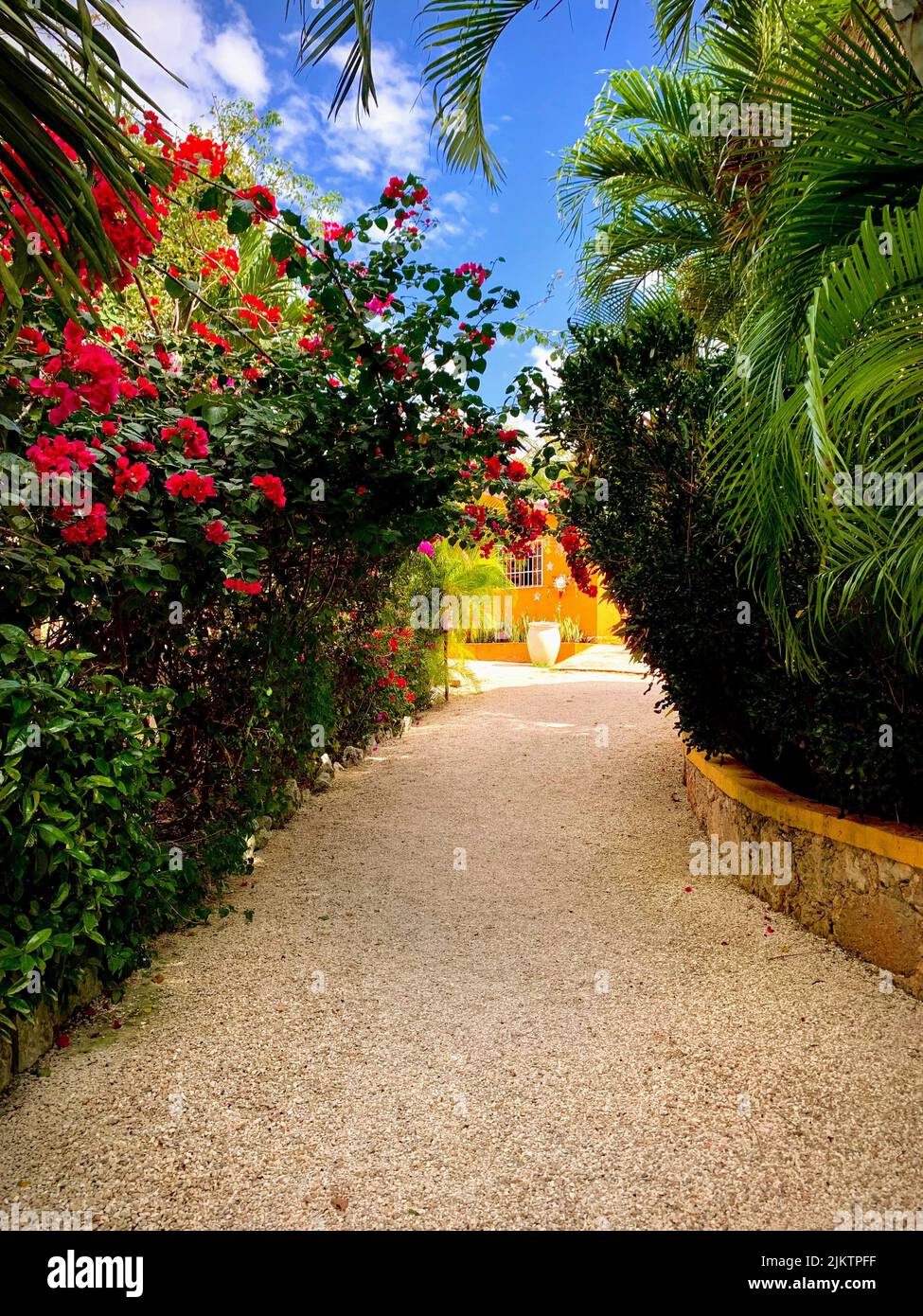 beautiful pathway in Tulum, Mexico with vibrant, tropical plants Stock ...