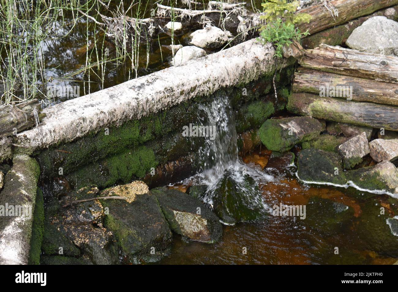 Slippery algae on rocks hi-res stock photography and images - Alamy