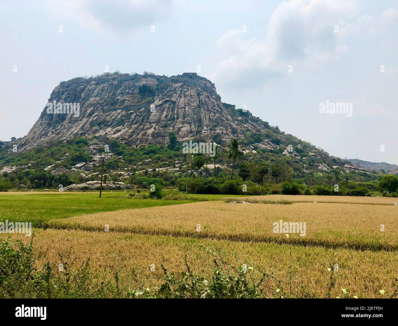 The view of the fields against the massive cliff. Villupuram, Tamil ...