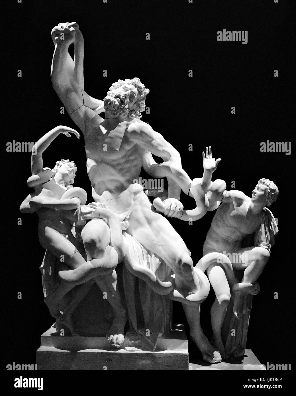 Snakes in italy Black and White Stock Photos & Images - Alamy