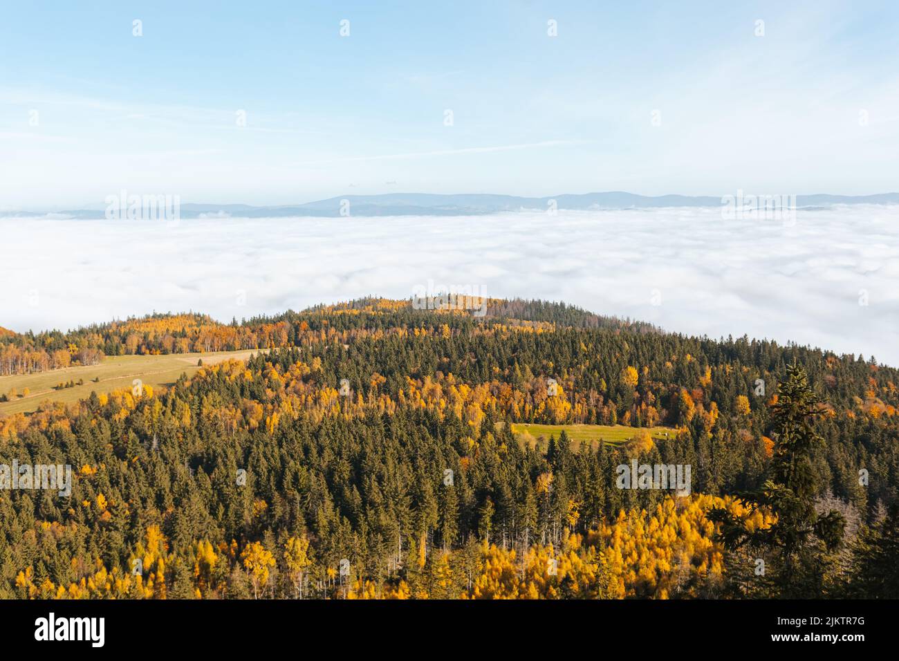 Beautiful mountain autumn forest above hi-res stock photography and ...