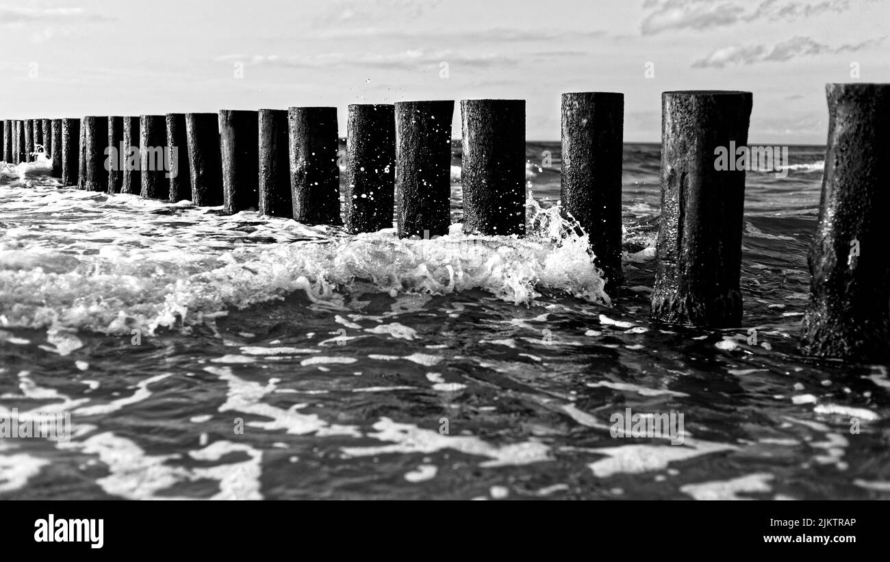 A grayscale of a line of wooden logs in a sea Stock Photo - Alamy