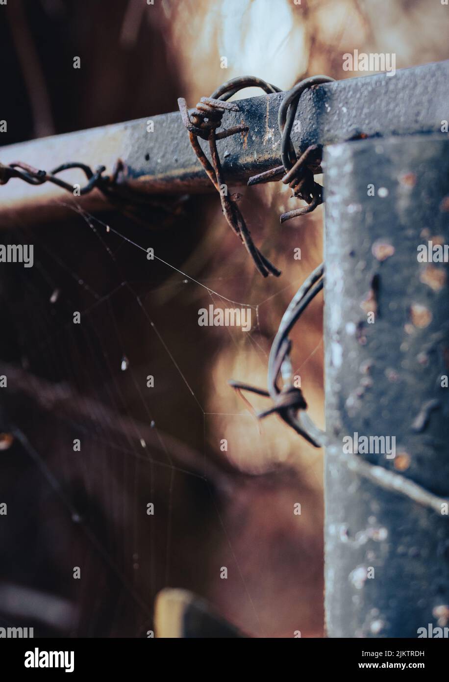Barbed wire gate hi-res stock photography and images - Alamy