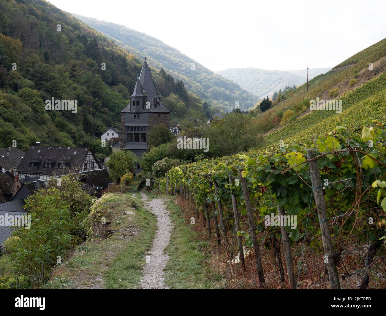 Old palace road hi-res stock photography and images - Alamy