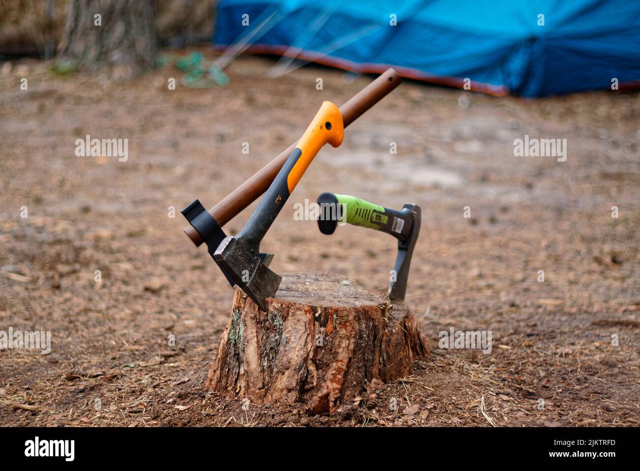 A selective of axes on a cut tree trunk Stock Photo - Alamy