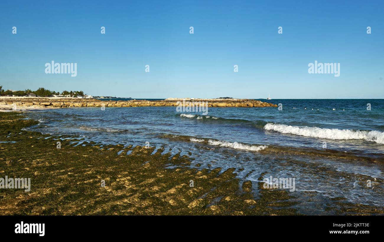 Shot beach taken from hi-res stock photography and images - Alamy