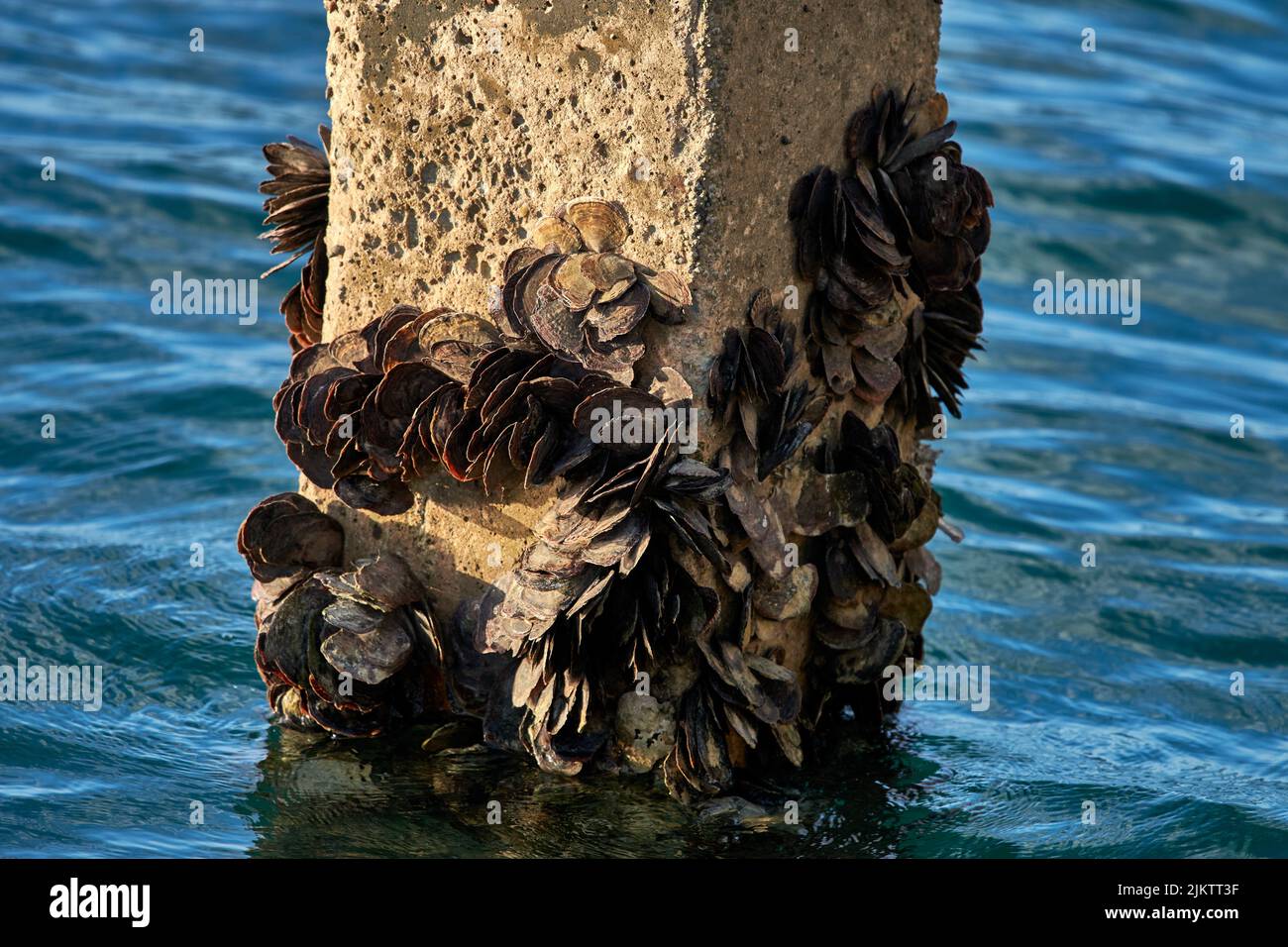Lonely stone hi-res stock photography and images - Alamy