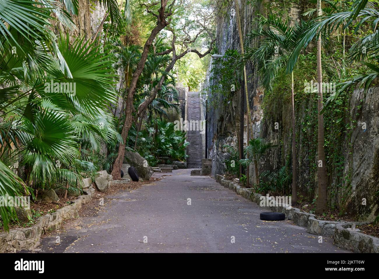 The beautiful shot of the Queens staircase in Nassau, Bahamas Stock ...