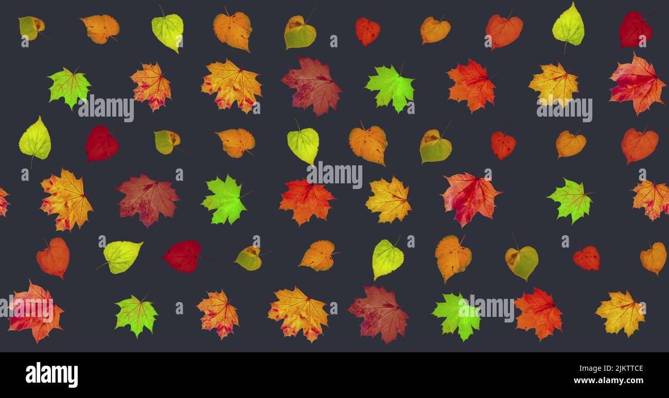 Animated pattern background of rotating dry autumn leaves with shadow ...