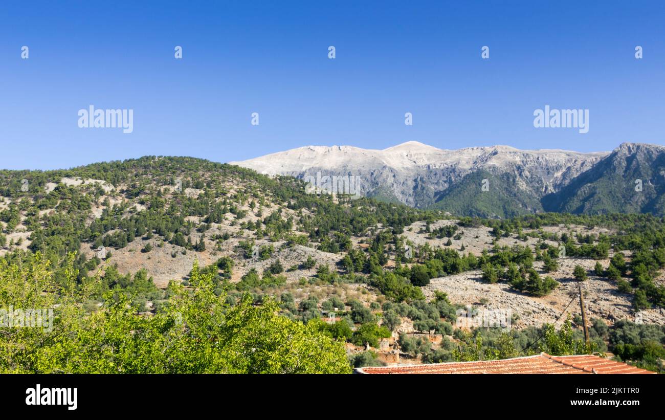 White Mountains Forest Preserve of crete Stock Photo - Alamy