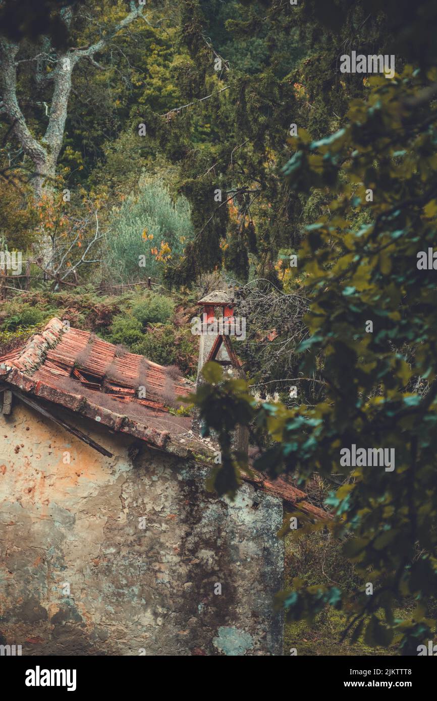 A small hut in the wood with weathered walls and damaged tiled roof ...
