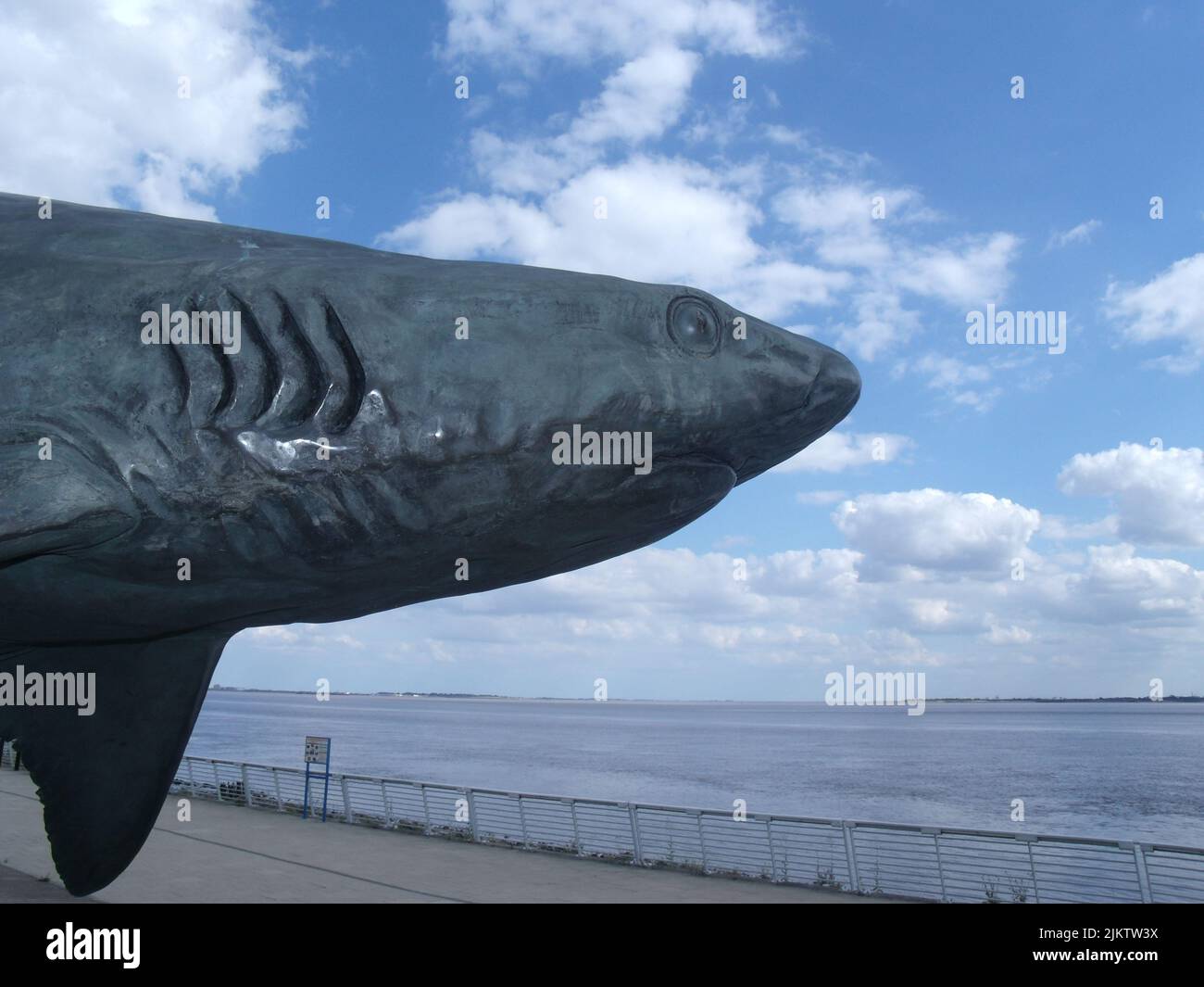 Shark sculpture hi-res stock photography and images - Alamy