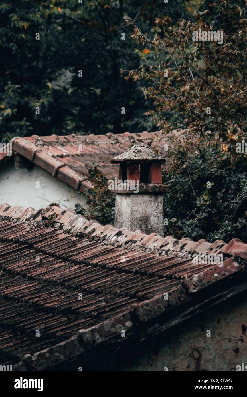 A vertical shot of the stone chimney of an old building with trees on ...
