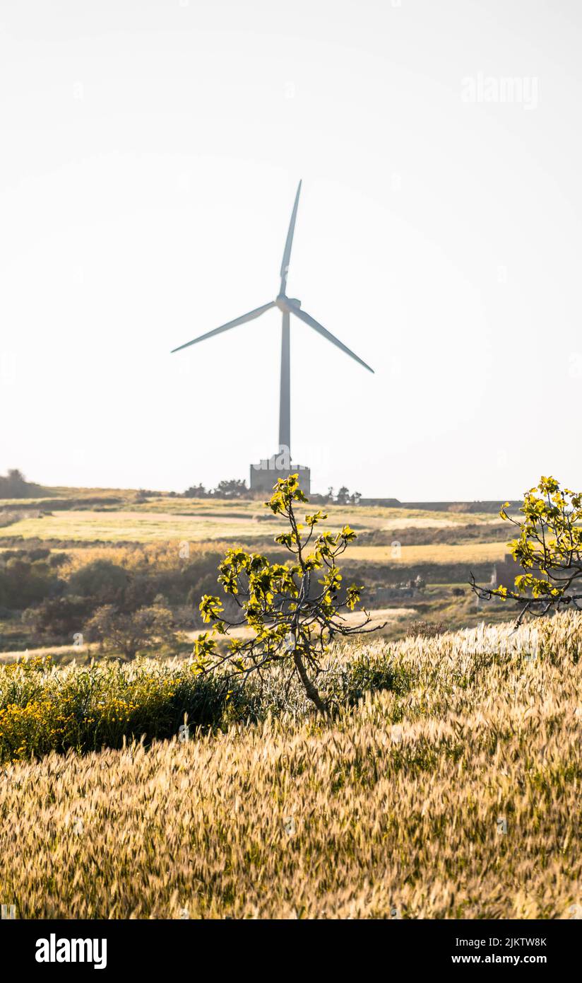 A rural landscape with a wind turbine in the background Stock Photo - Alamy