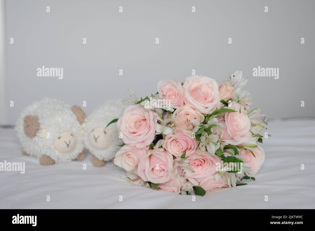 Two toy sheep hi-res stock photography and images - Alamy