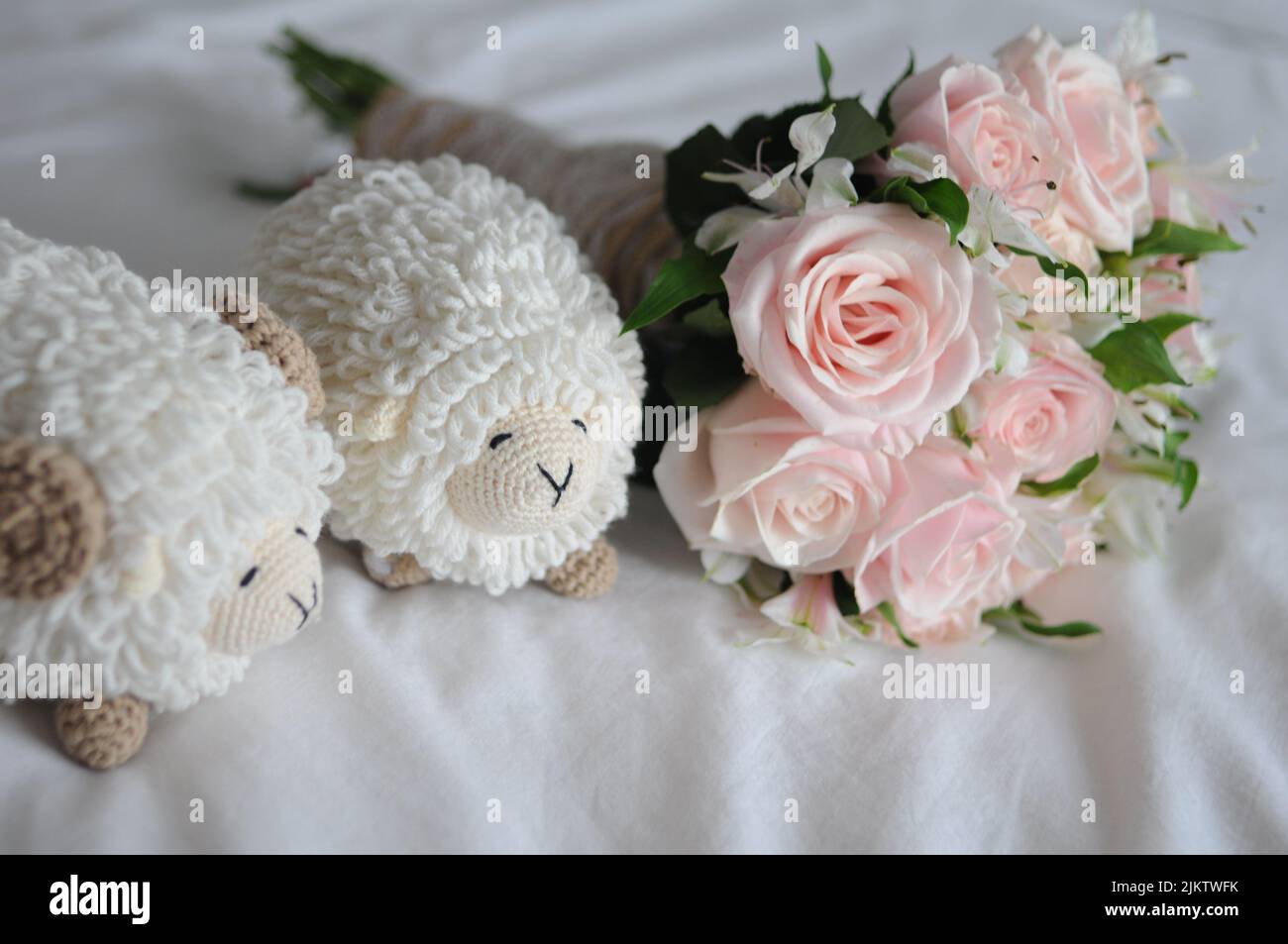 Two soft toy sheep hi-res stock photography and images - Alamy