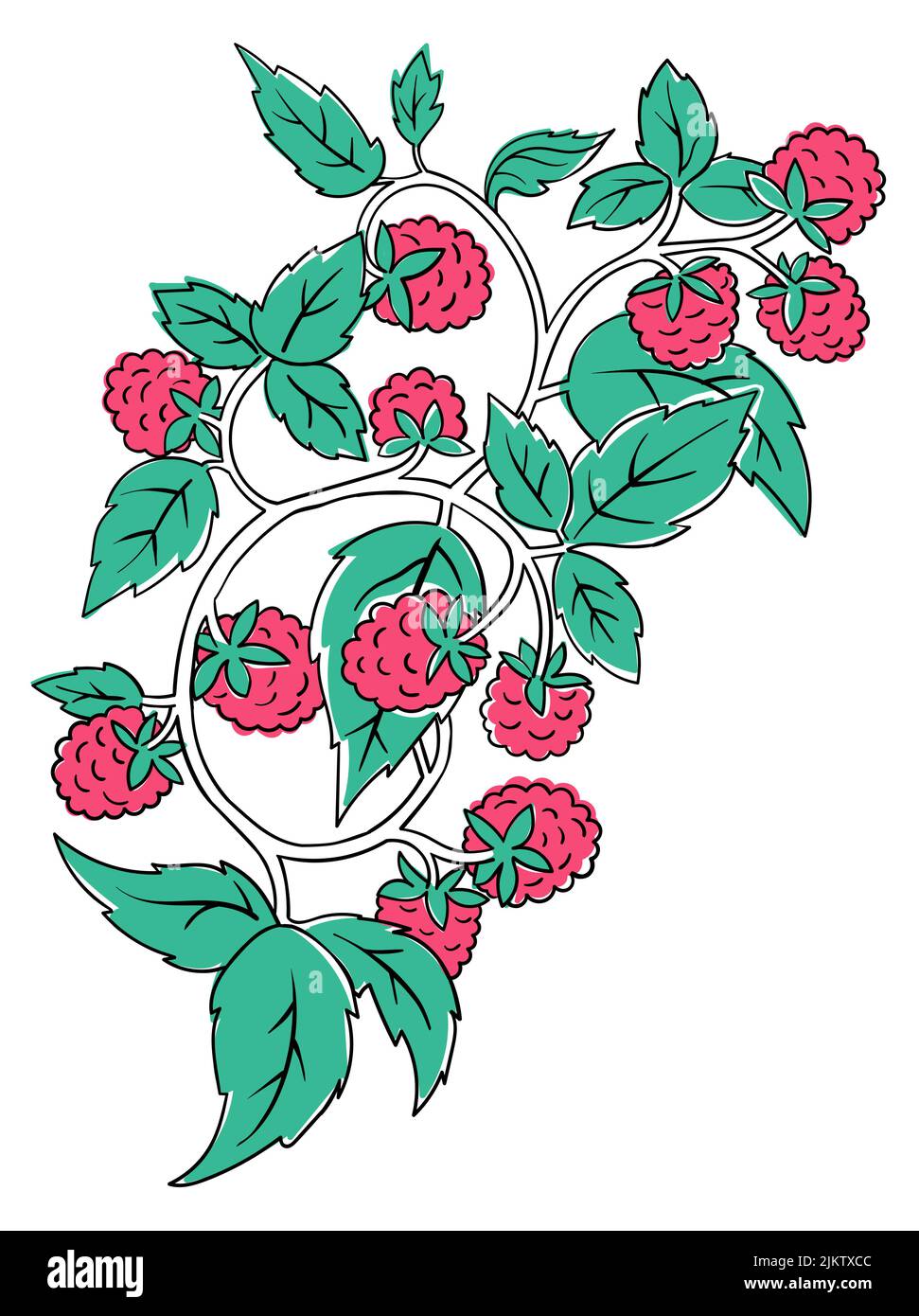 Raspberry Coloring Book element. Black countour on white background ...