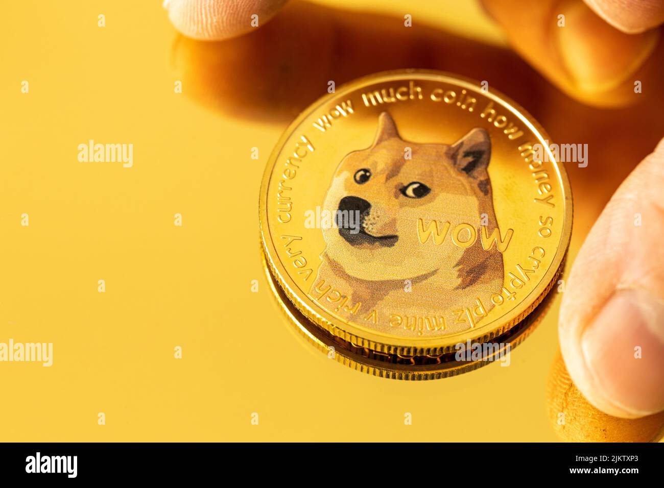 Dogecoin Cryptocurrency, Coin with a dog, lying on a golden mirror with ...
