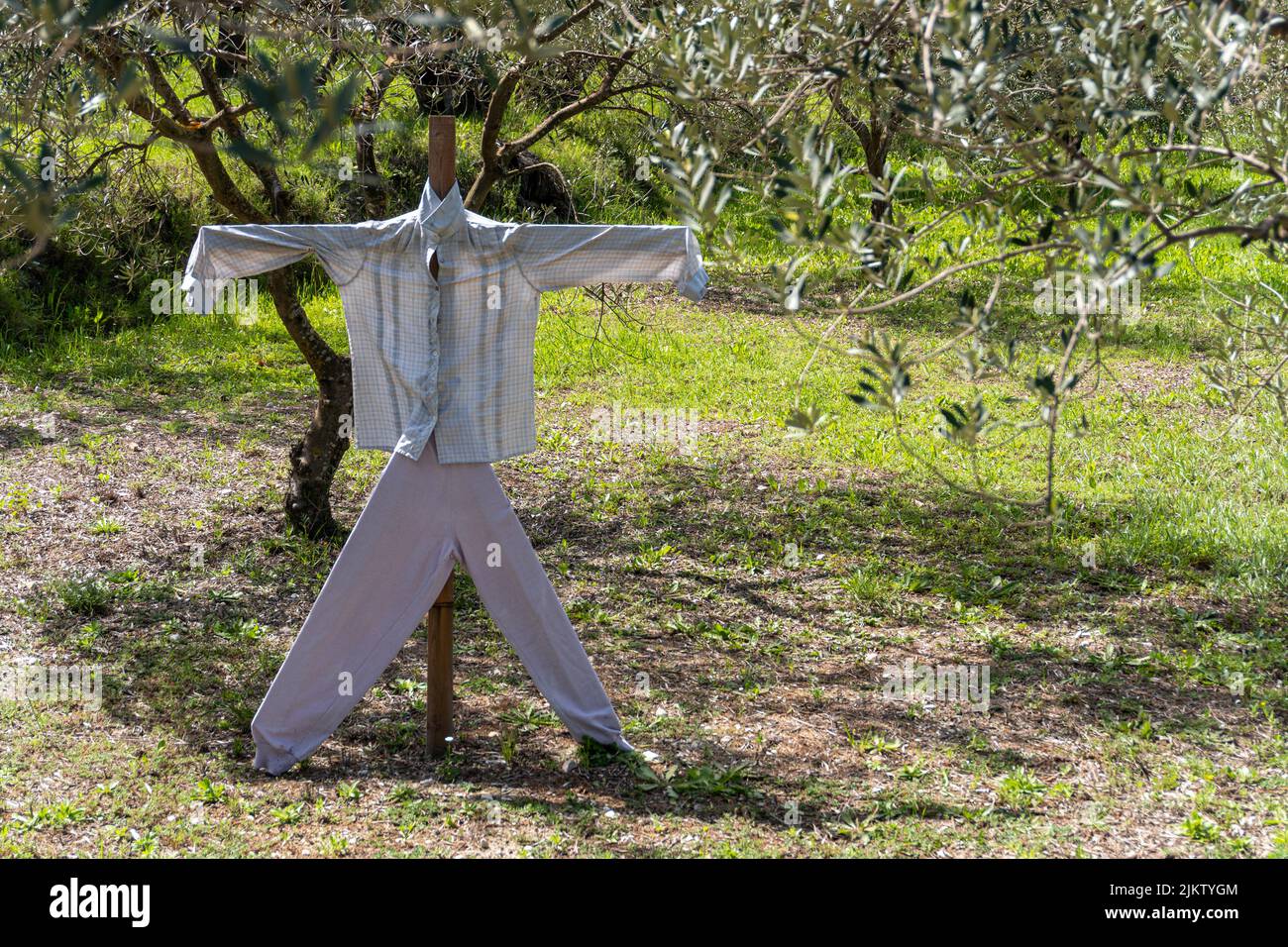 Scarecrow crops agriculture farming hi-res stock photography and images ...