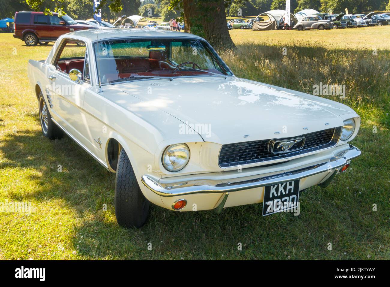 classic 1960s vintage cream Ford Mustang Stock Photo - Alamy
