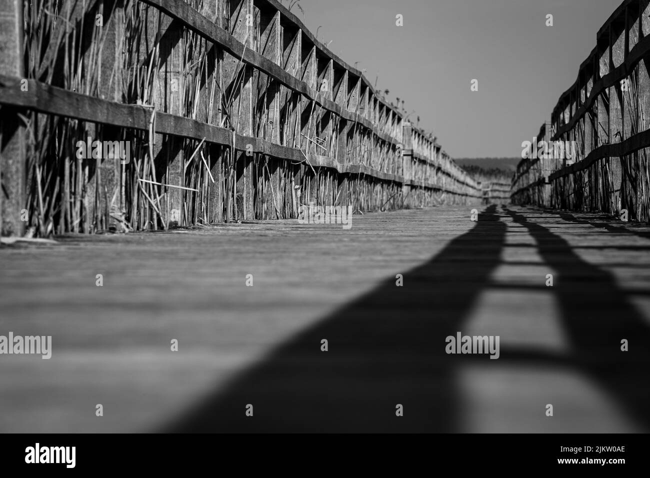 Old abandoned broken house Black and White Stock Photos & Images - Alamy