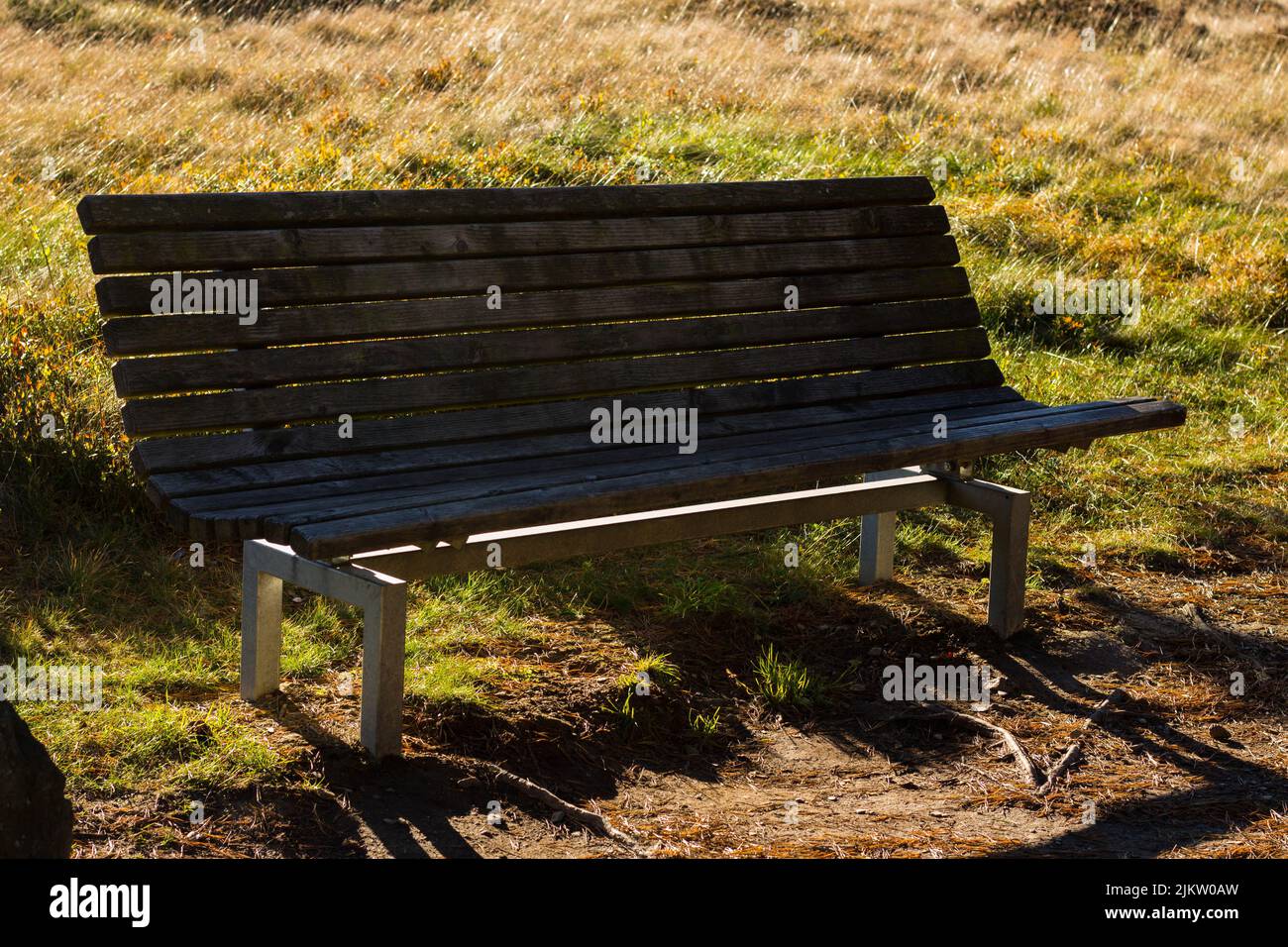 Grass park bench landscape hi-res stock photography and images - Alamy