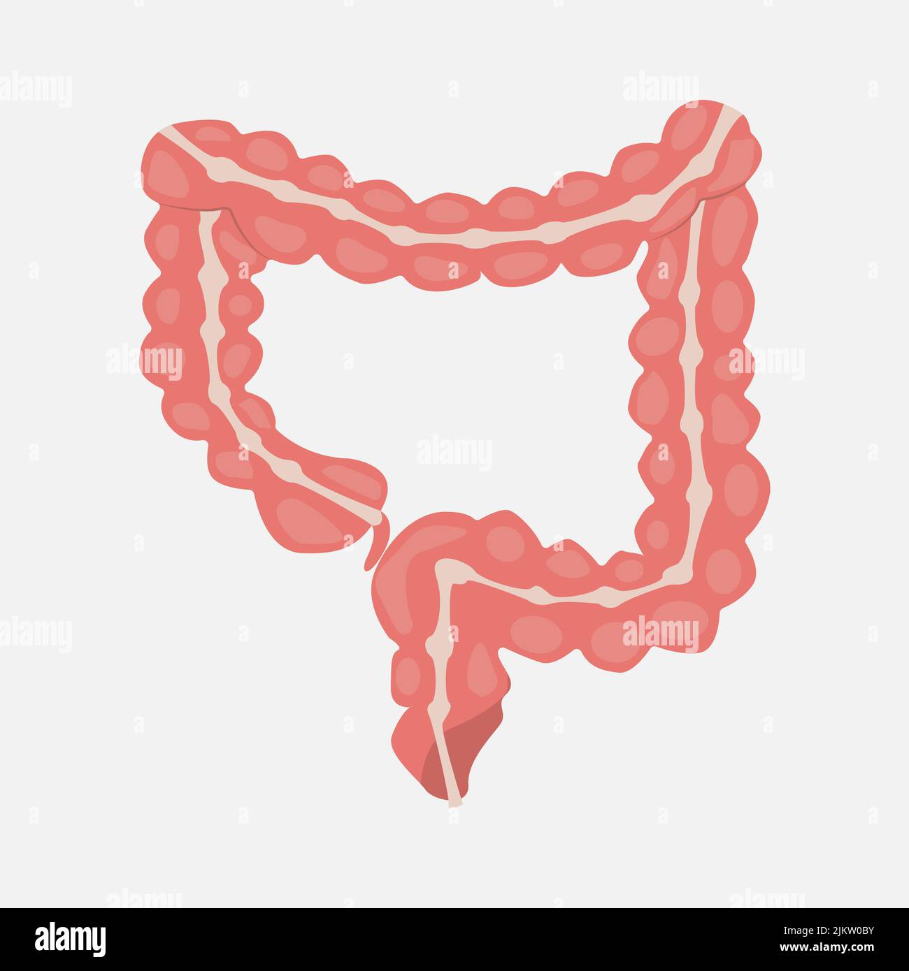 Intestine icon on a white background Stock Vector Image & Art - Alamy