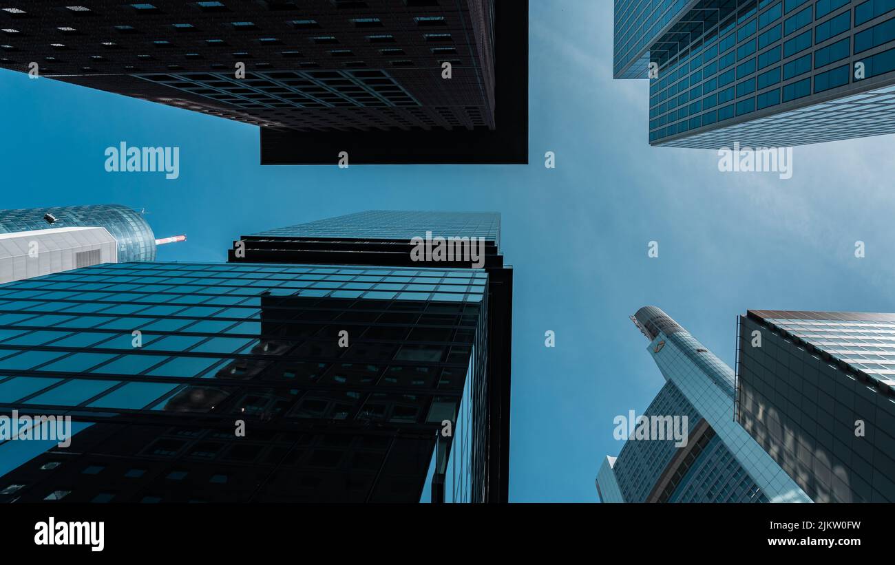 A low angle view of tall skyscrapers with blue glass windows against ...