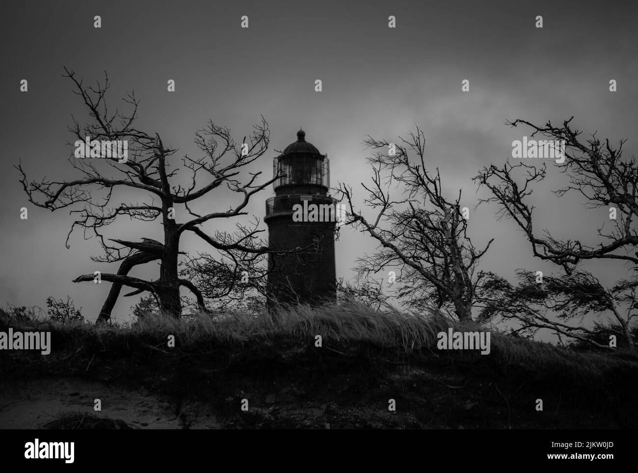 A grayscale view of a lighthouse surrounded by dry trees under a cloudy ...
