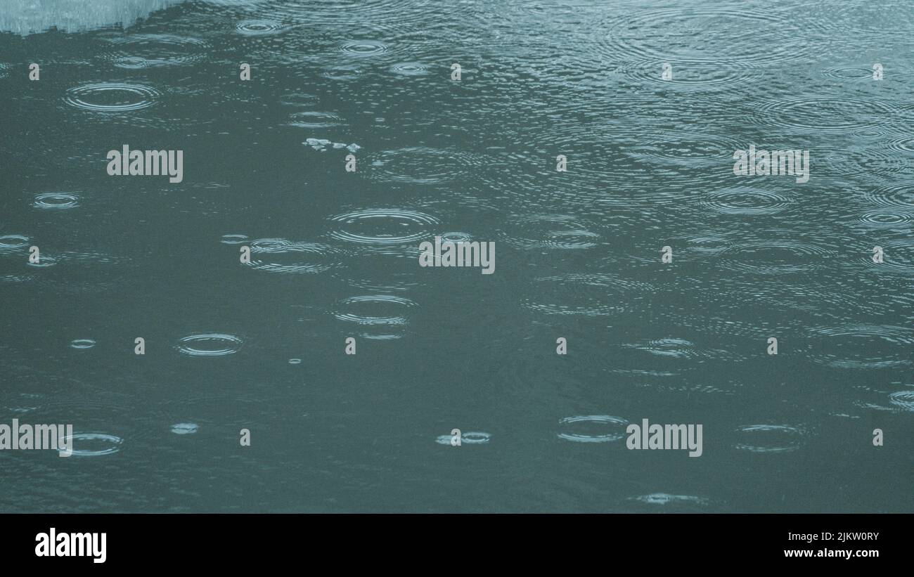 A beautiful shot of raindrops falling into a sea - perfect for ...