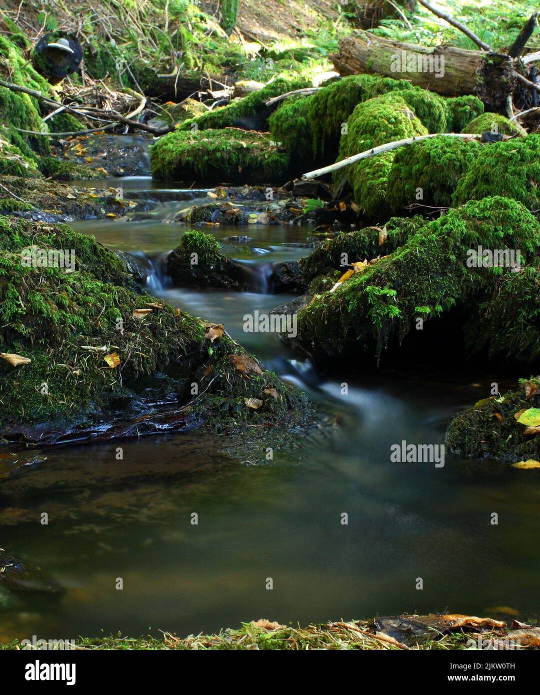 A vertical shot of a stream flowing through rocks covered with algae ...