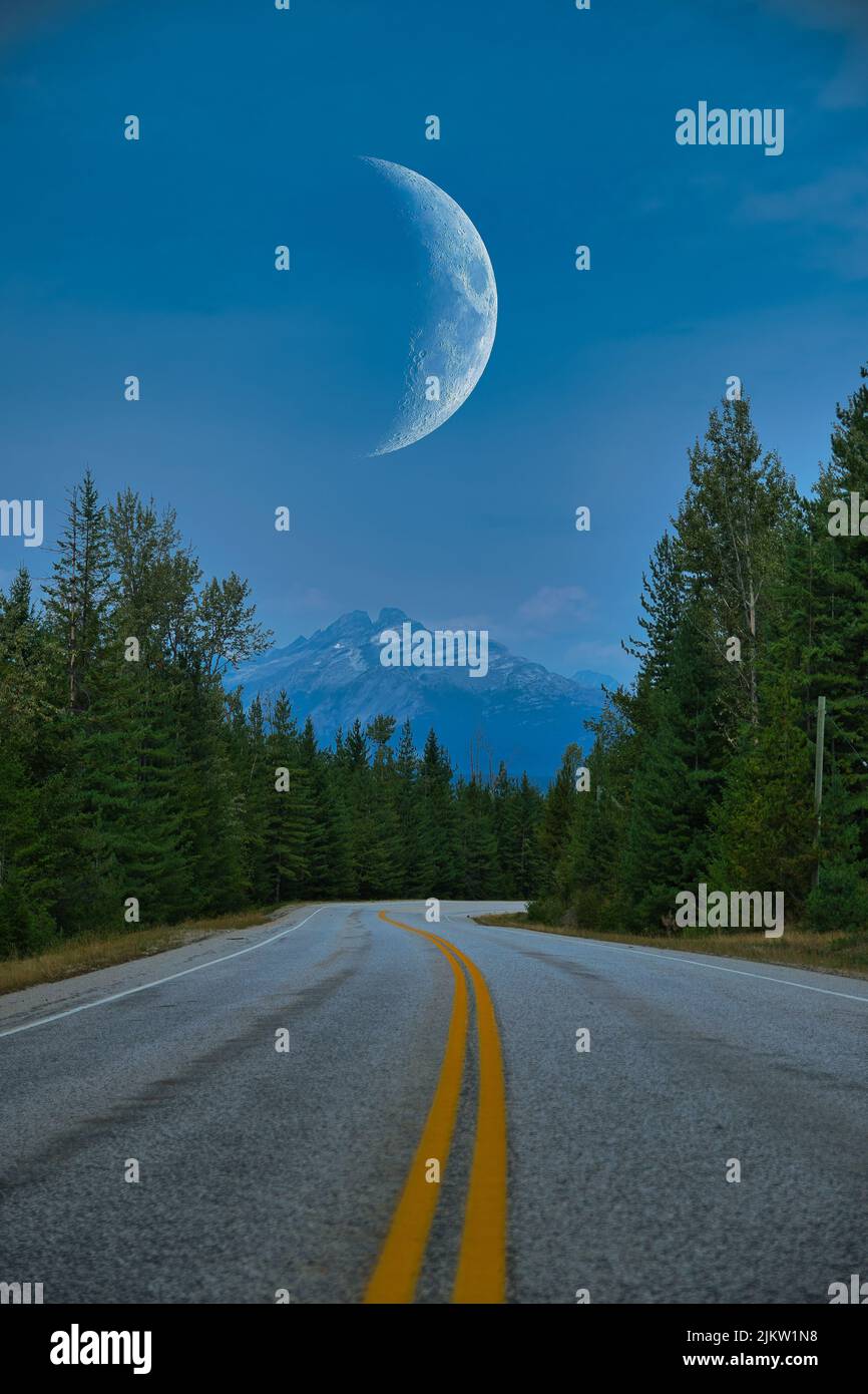 The moon over the winding road between the forest at night Stock Photo ...
